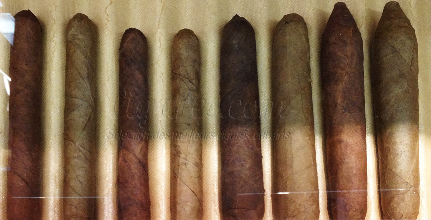 Taille du cigare : importance et influence