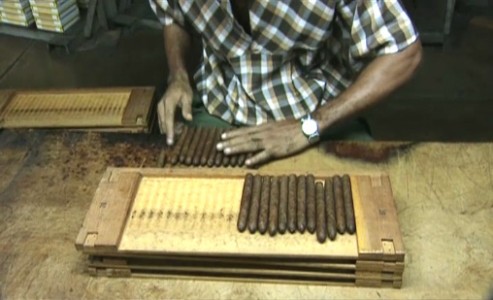 Modules et tailles des cigares