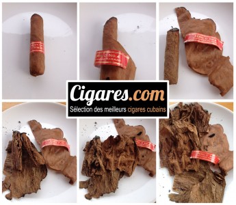 La structure d’un cigare