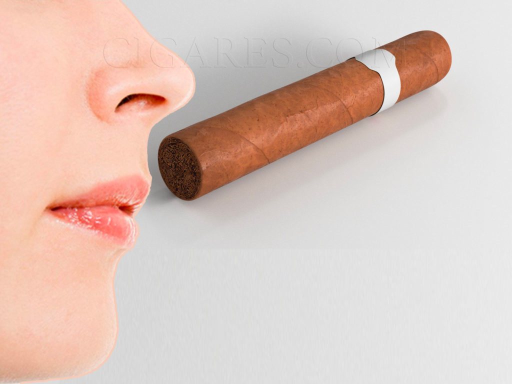 Déguster un cigare en 5 étapes